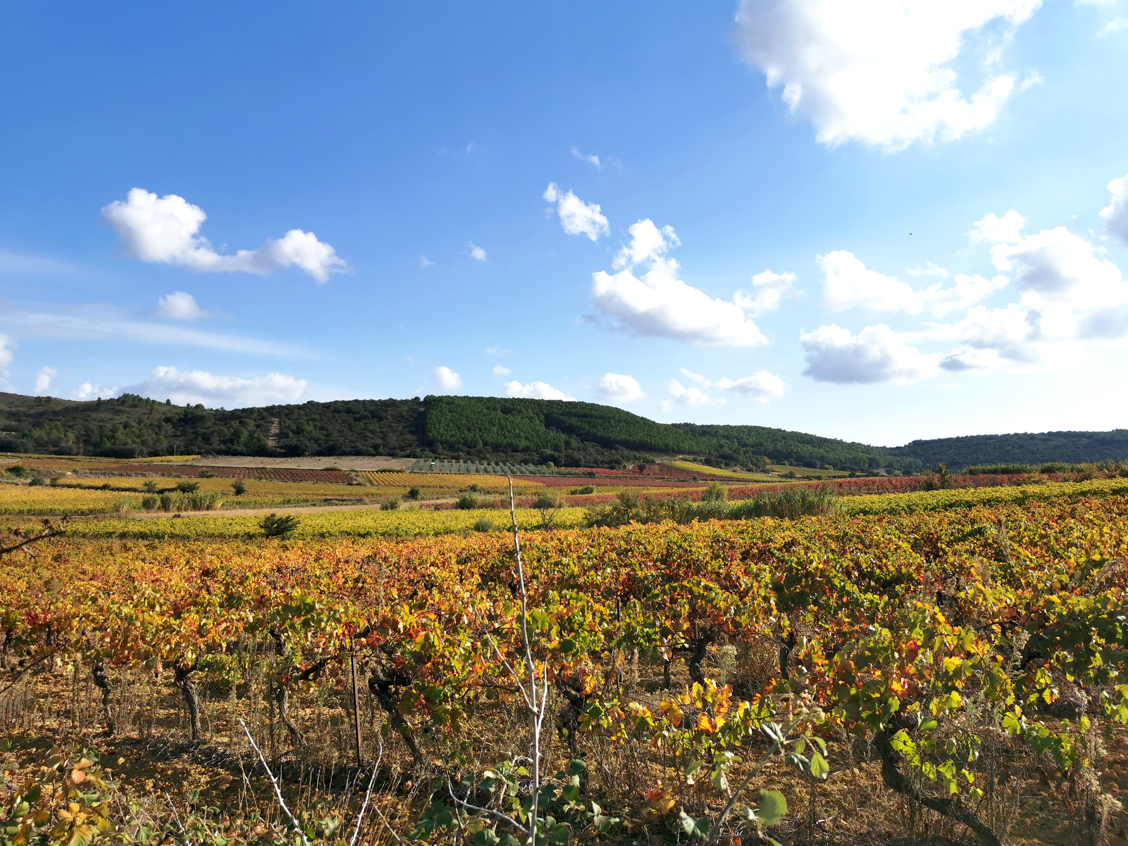 Page test | Passerelles Paysannes